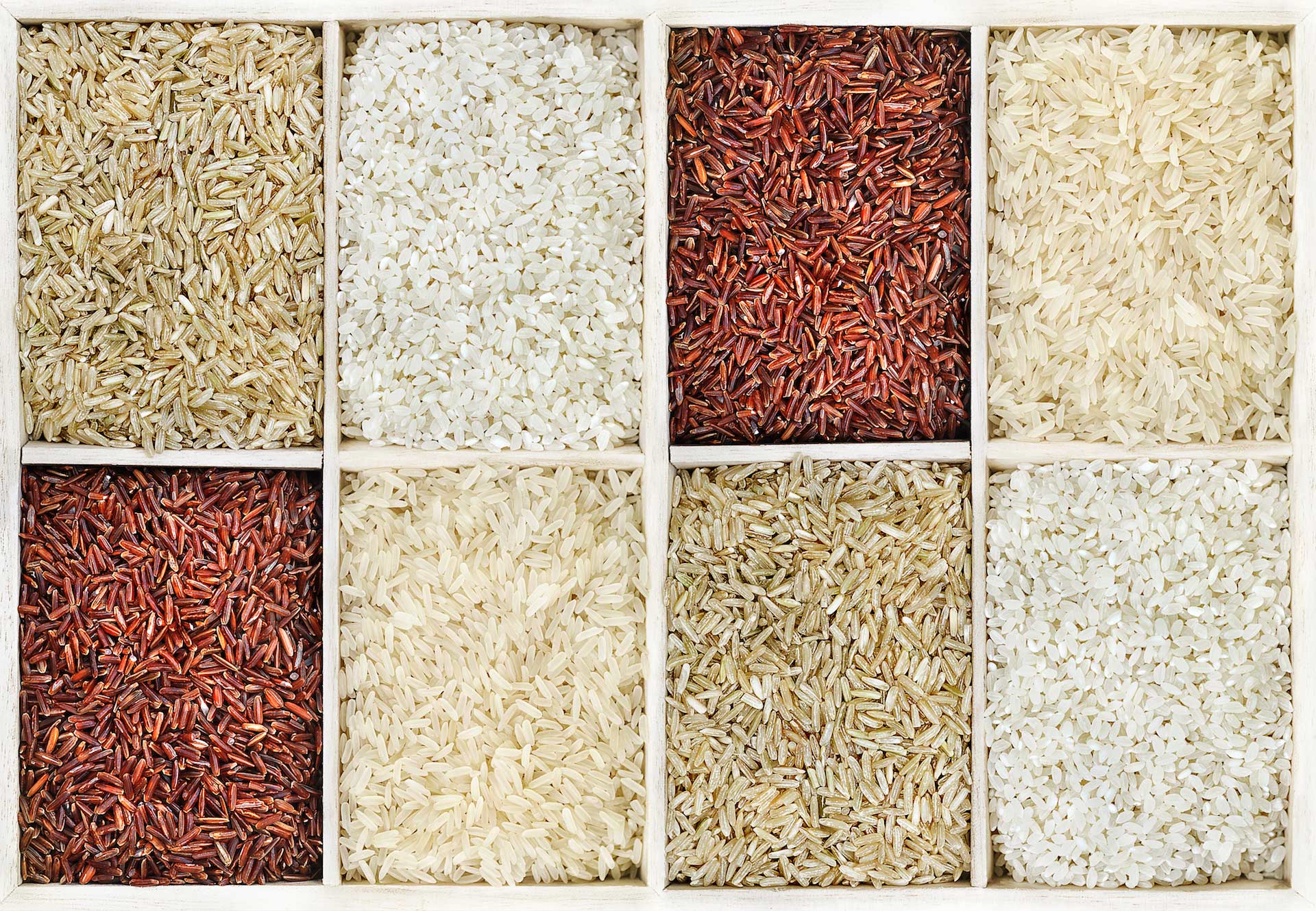 Tipos de arroz: una guía con las principales clases | Bartalent